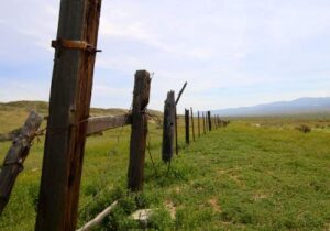 18 Battle-Tested Tips for Dealing With Nightmare Neighbors