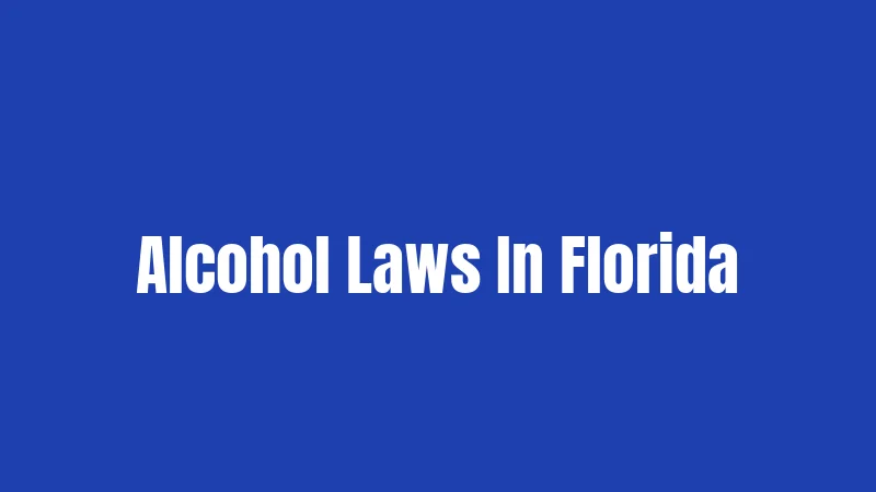 Florida Alcohol Laws in 2026: Everything You Need to Know