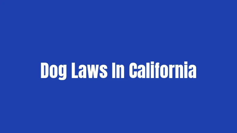 Dog Laws in California (2026): The Rules That Could Cost You