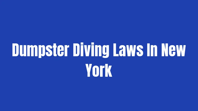 Dumpster Diving Laws in New York (2026): Rules You Should Know