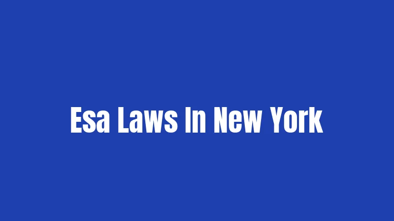 ESA Laws in New York (2026): Your Rights Start Here