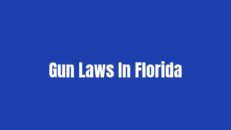 Florida Gun Laws in 2026: The Complete Carry Guide