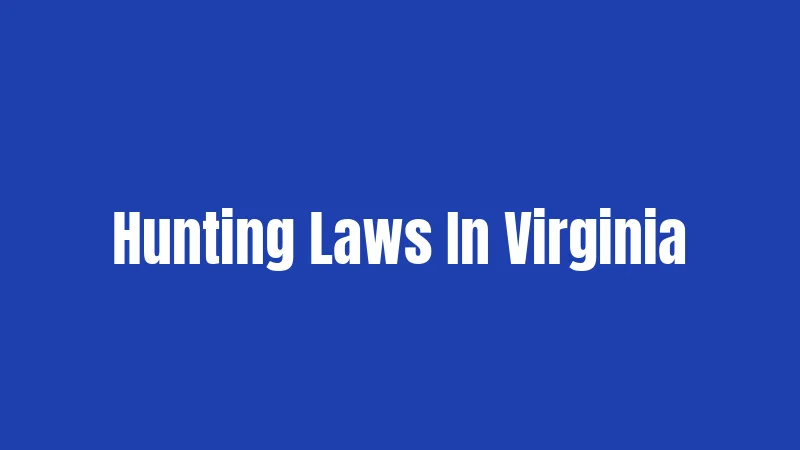 Virginia Hunting Laws in 2026: What Every Hunter Needs to Know Right Now