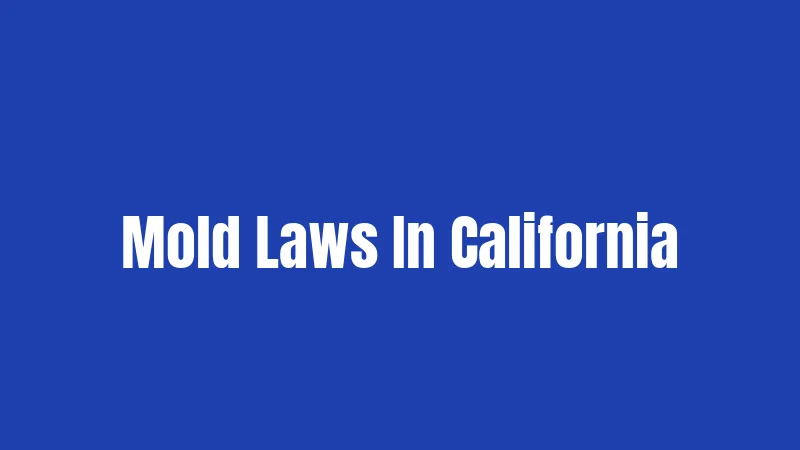 California Mold Laws (2026): What Every Homeowner and Renter Should Know