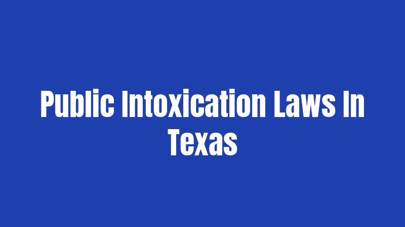 Public Intoxication Laws in Texas (2026): What Can Actually Get You ...