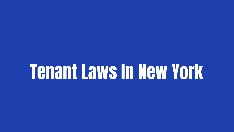 New York Laws (2026): Your Rights and Responsibilities
